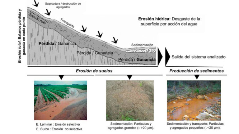 Consecuencias de la erosión hídrica – Geo2 Solum